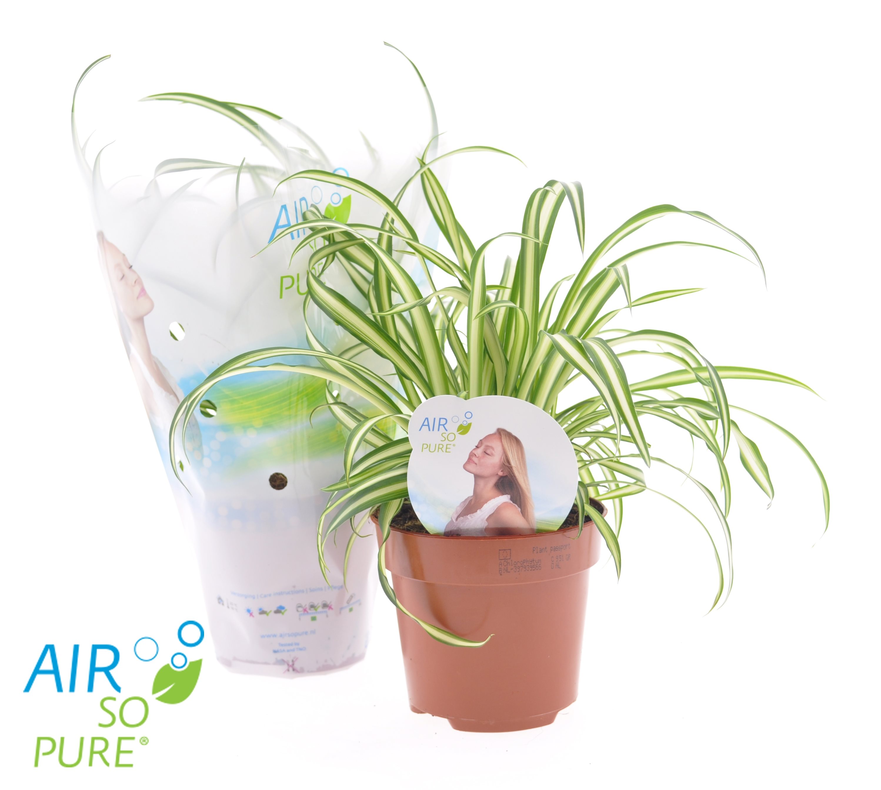 Exhibitor: Air So Pure | IPM Summer Edition