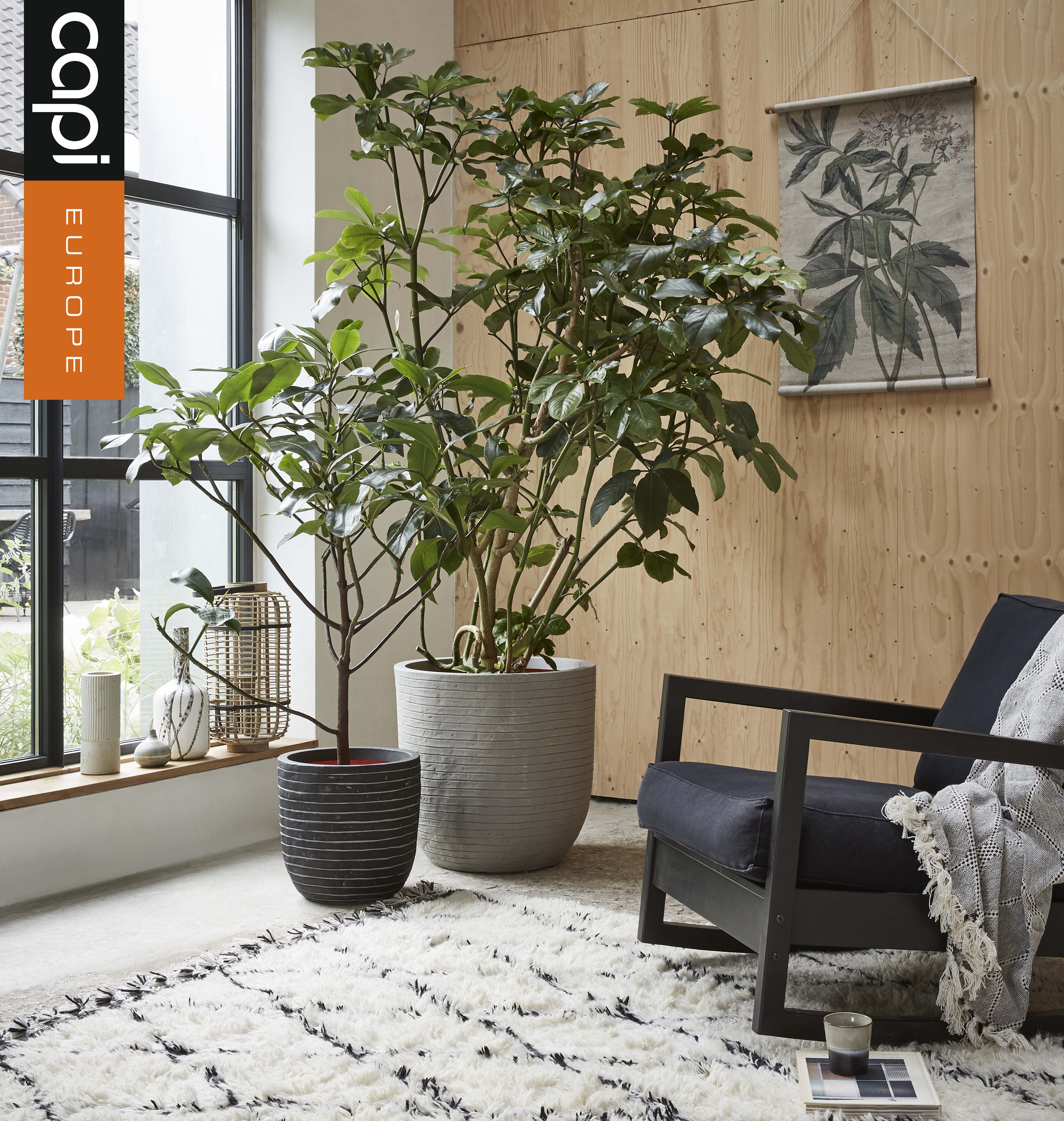 Products & Innovations | IPM ESSEN