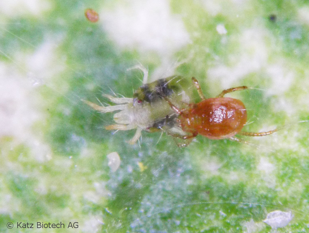 Aussteller: Katz Biotech AG | IPM ESSEN